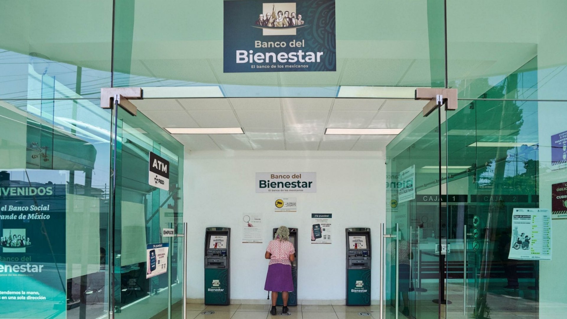 Registro Portal Laboral Banco de Bienestar 2024: ¿Cómo Crear Perfil ...