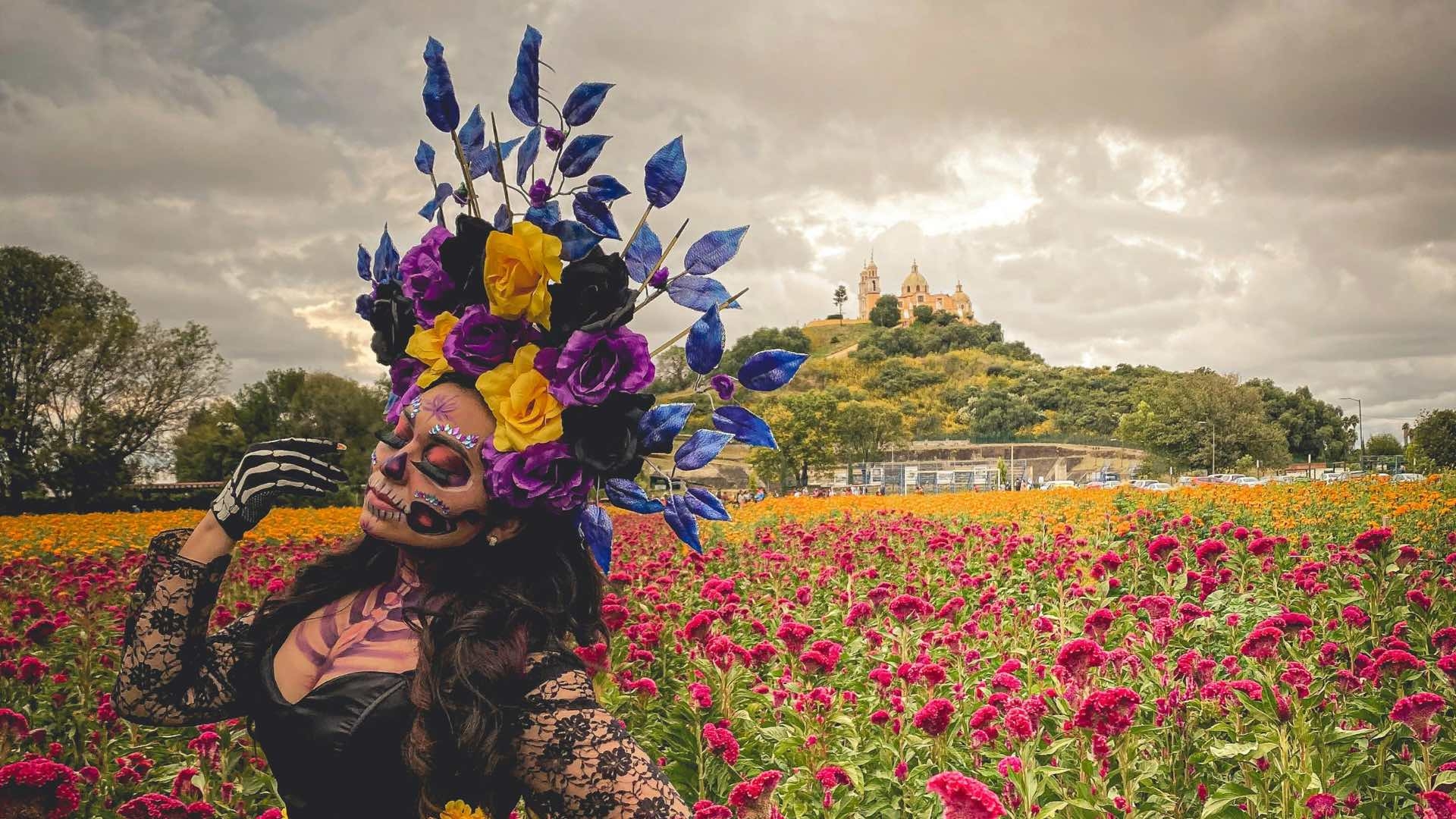 Festival Sendero al Mictlán 2025: ¿Qué Eventos Habrá por el Día de ...