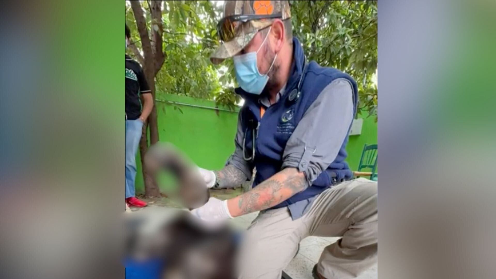 Muere Oso Tras ser Rescatado en una Casa en Bustamante, Nuevo León ...