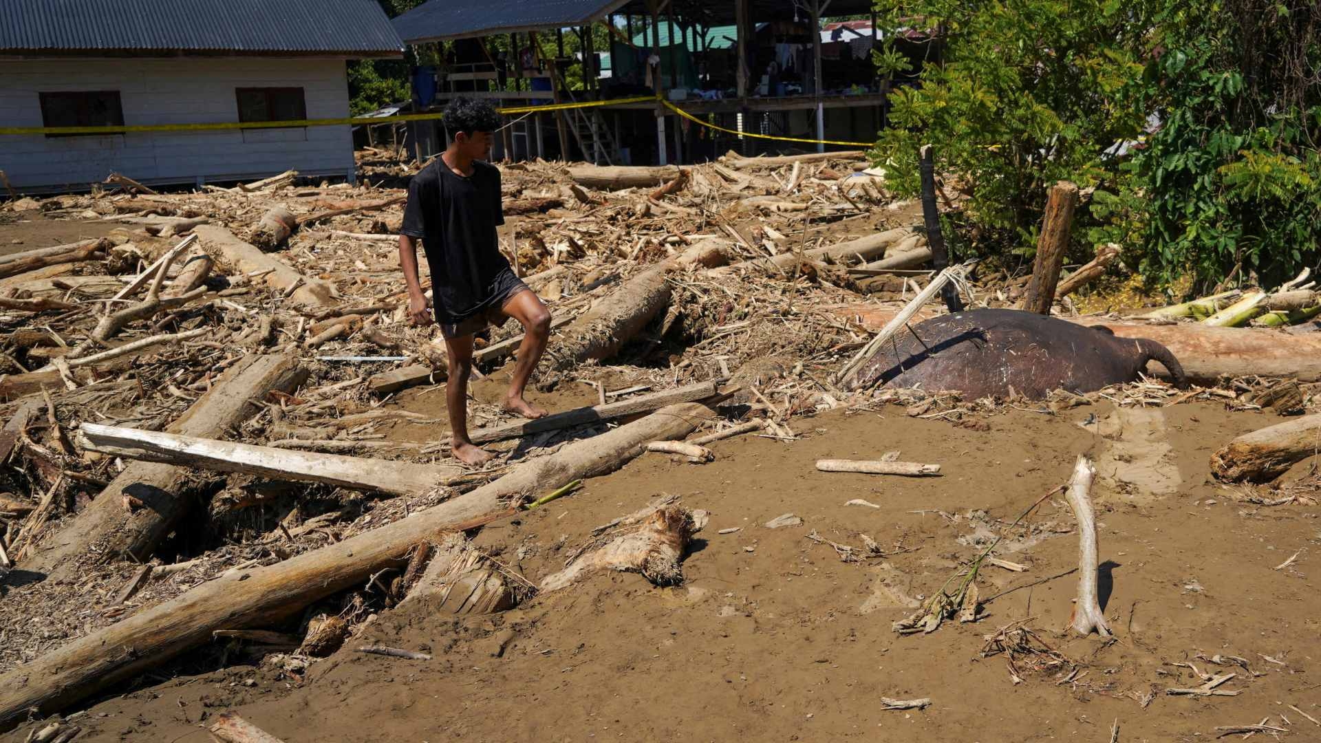 Elefante Queda Enterrado Tras Inundaciones, en Indonesia; Habría Sido ...
