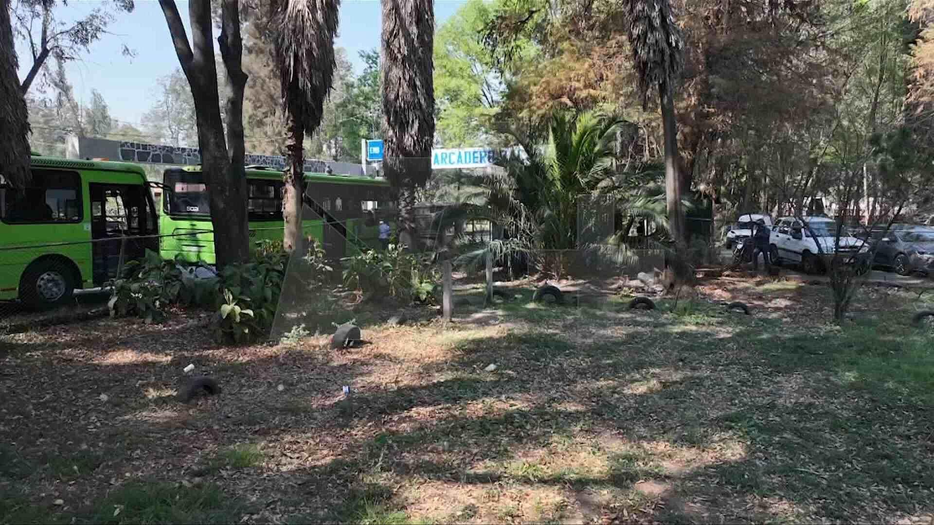Justicia para “Negrita”: Reportan Nuevo Asesinato de Perro en Bosque de ...