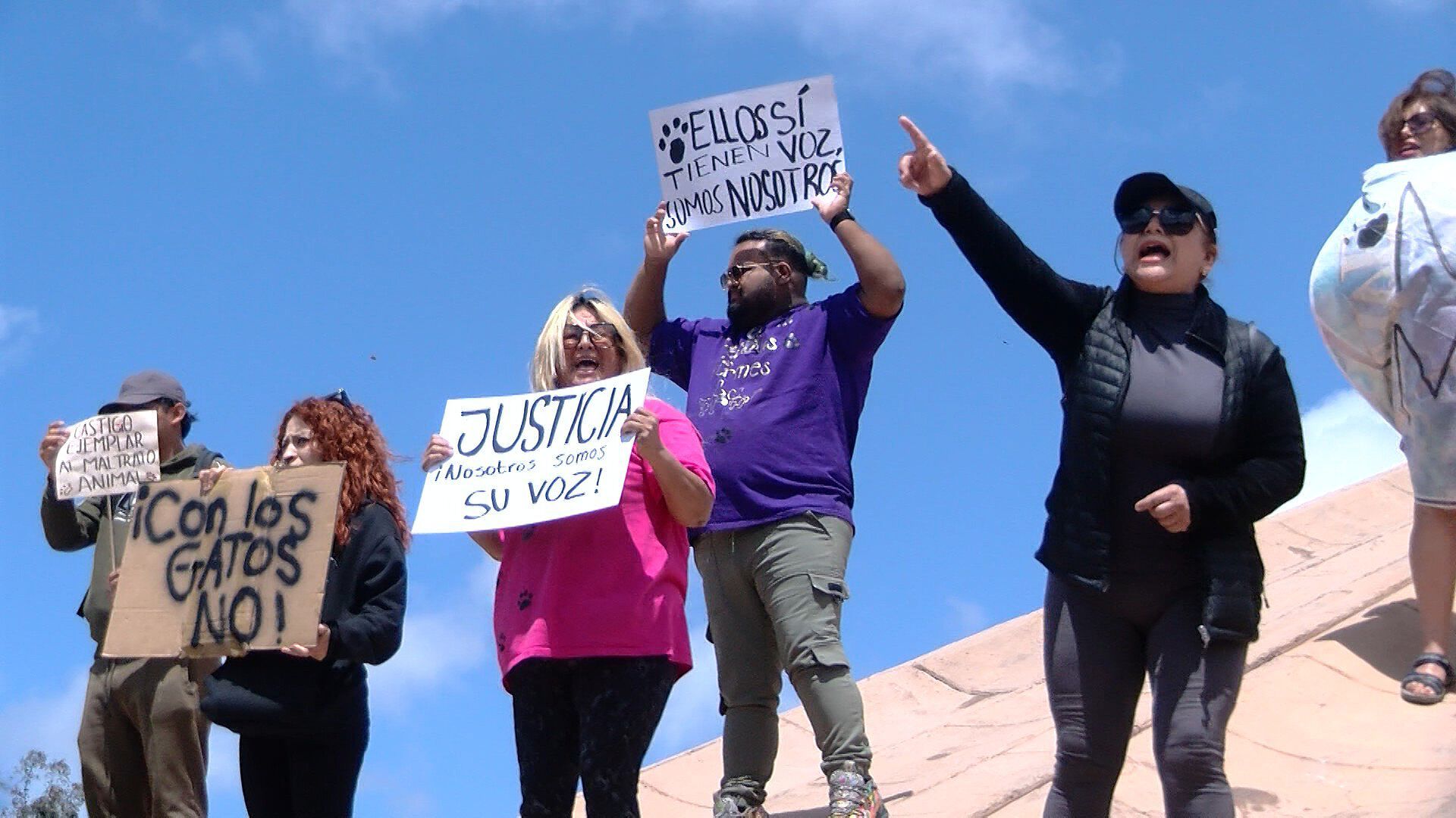 Marchan en Tijuana Contra el Maltrato Animal y Caso Difundido de Gato ...