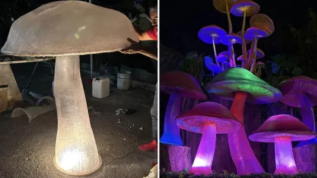Adiós Labubus ¿Dónde Conseguir los Hongorubis de Sopora: Festival ...