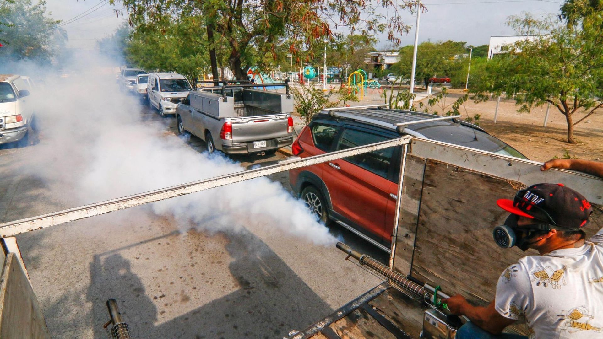 México Presume Disminución en Casos y Muertes por Dengue