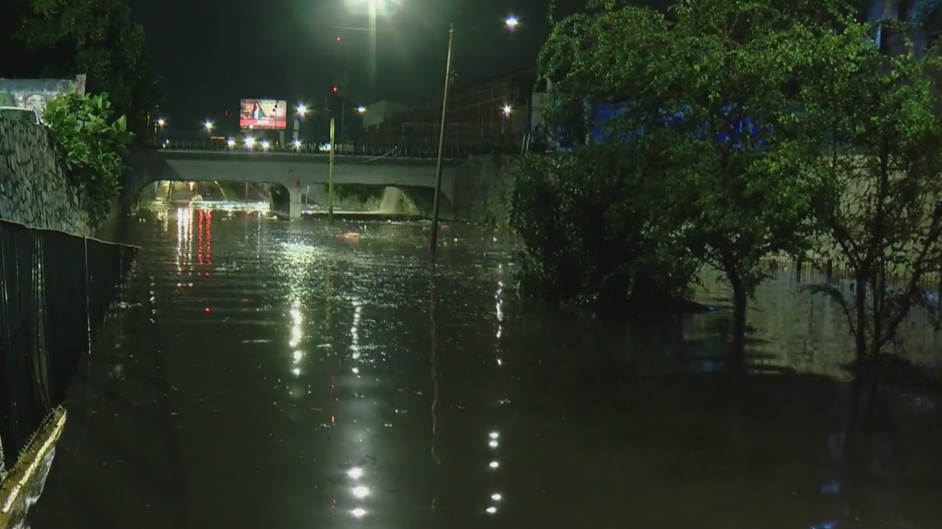 Inundaciones, Árboles Caídos y Destrozos Tras Intensa Tormenta ...