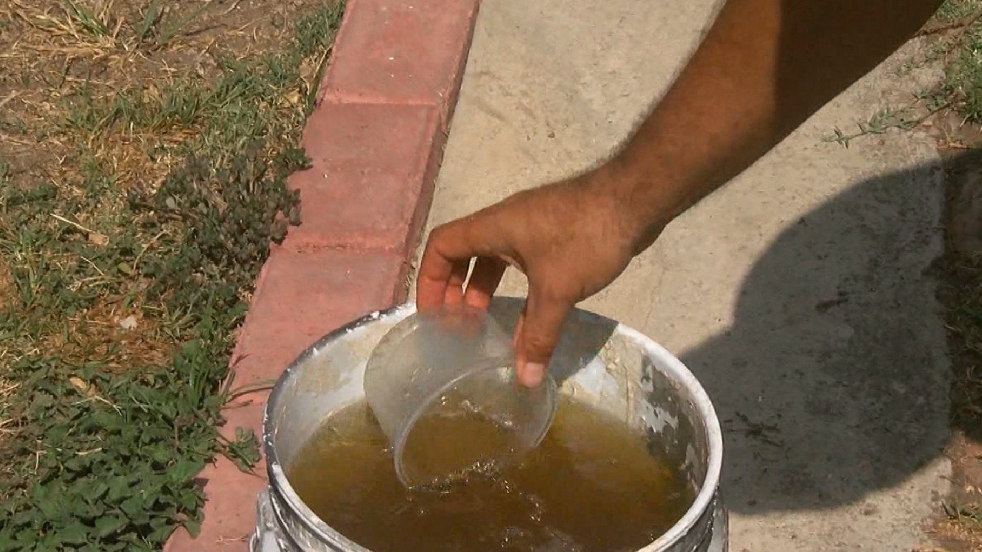 Detectan Metales Pesados y Materia Fecal en Agua Potable de Colonias de ...