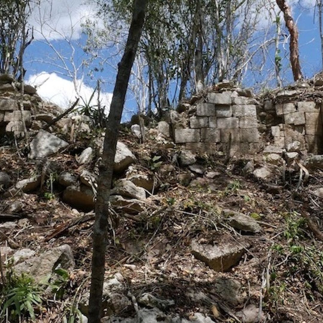 Minabé, la Ciudad Maya que Fue Descubierta Intacta en Campeche; ¿Cómo Es?