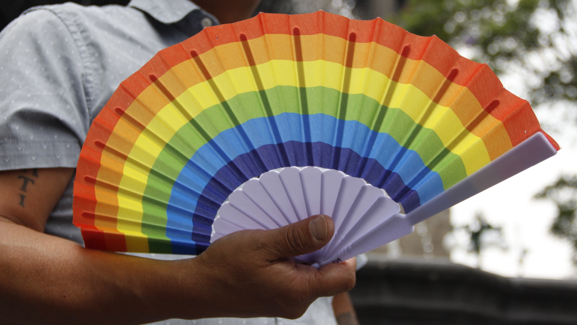 Marcha del Orgullo LGBTQ+ 2026 en Puebla: Punto de Reunión, Horario y ...